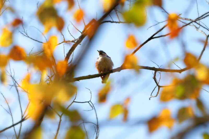 13 Things To Do In September To Welcome Fall