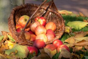 How to Have the Best Autumn Ever: 20 Top Things To Do This Fall