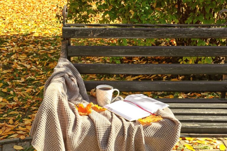 13 Happy And Productive Things To Do In November – Plum Healthy Fine