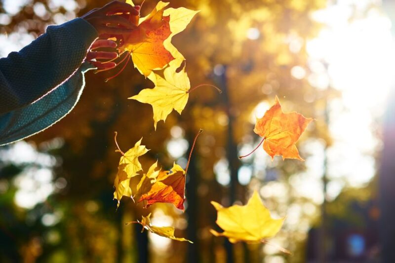 19 Cozy Ways To Romanticize Your Life In Fall – Plum Healthy Fine