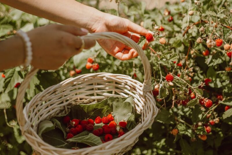 The Ultimate New Year Bucket List That Will Tick All Your Boxes