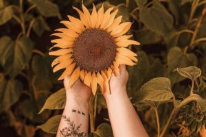 14 Wonderful Bucket Lists You Should Create At Least Once