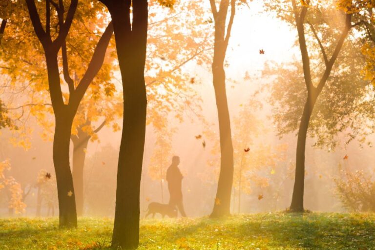 13 Fall Habits That Will Make Life 10 Time Cozier